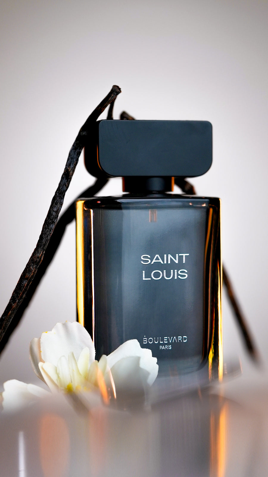 MEN PERFUMES – Time Zone